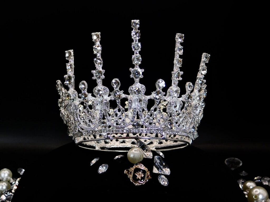 Silvery Fairytale Princess Crown - Queen Bee Crown Company